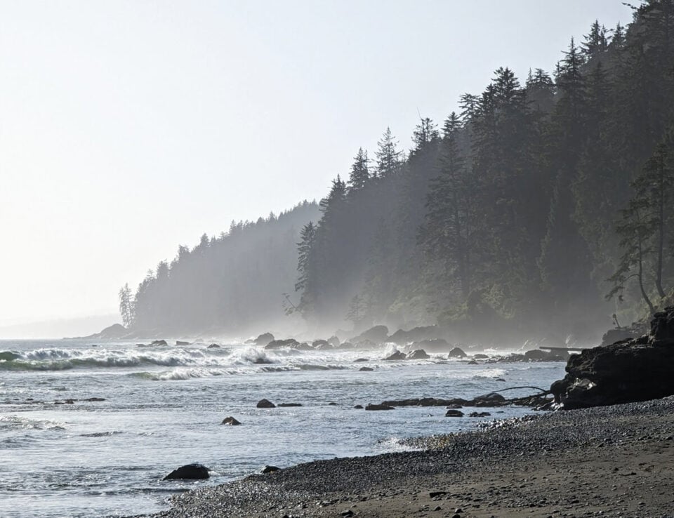 Spring in Canada: Things to Do, Where to Go and Essential Travel Advice