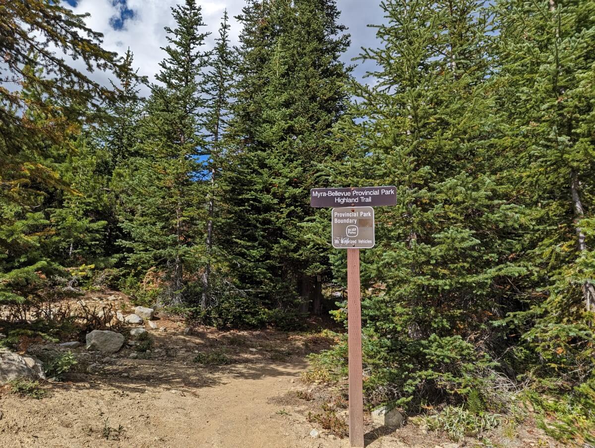 Little White Mountain via Canyon Lakes Trailhead: Hiking Guide