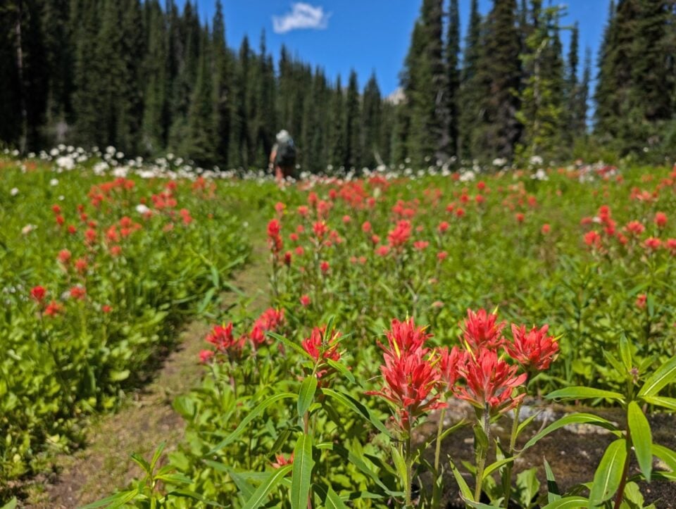 Little Peters Lake and Big Peters Lake, BC: Hiking Guide | Off Track Travel