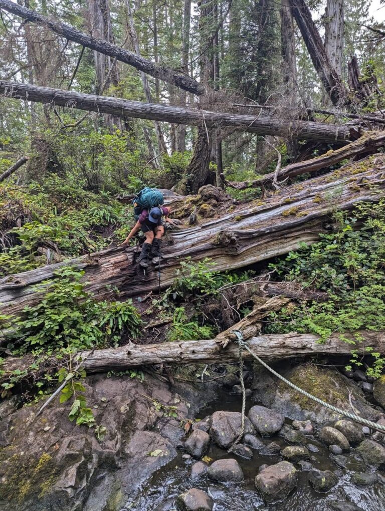North Coast Trail: Hike Breakdown, Campgrounds and Itineraries Guide