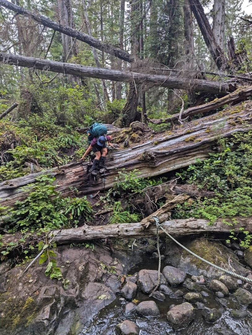 North Coast Trail: Complete 2025 Backpacking Guide | Off Track Travel