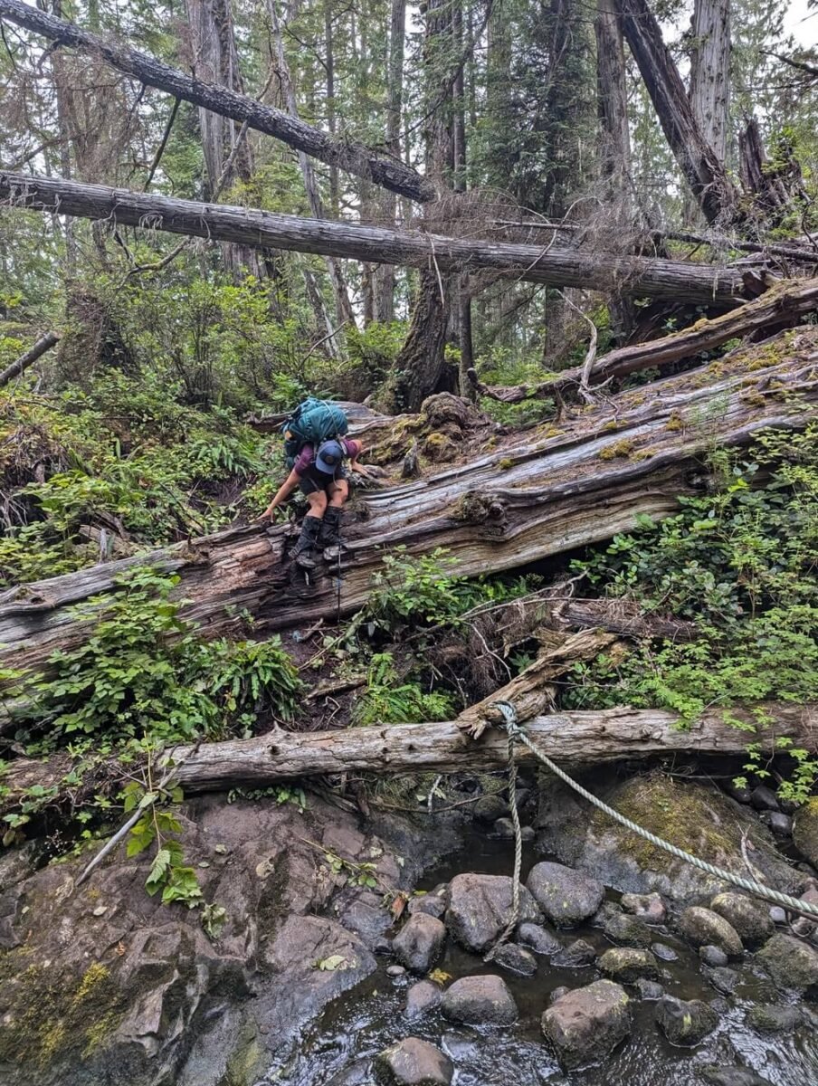 North Coast Trail: Hike Breakdown, Campgrounds and Itineraries Guide