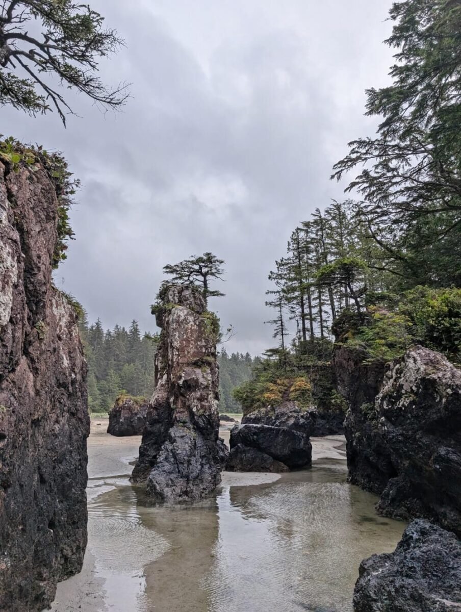 San Josef Bay, Vancouver Island: Hiking and Camping Guide | Off Track ...