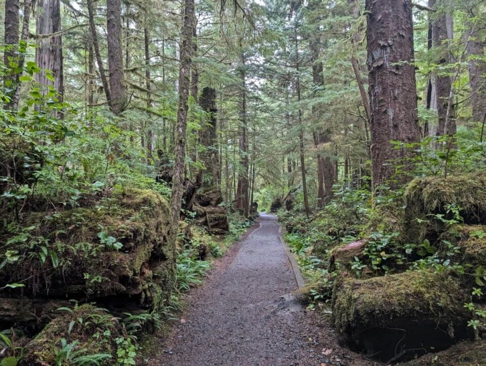San Josef Bay, Vancouver Island: Hiking and Camping Guide | Off Track ...