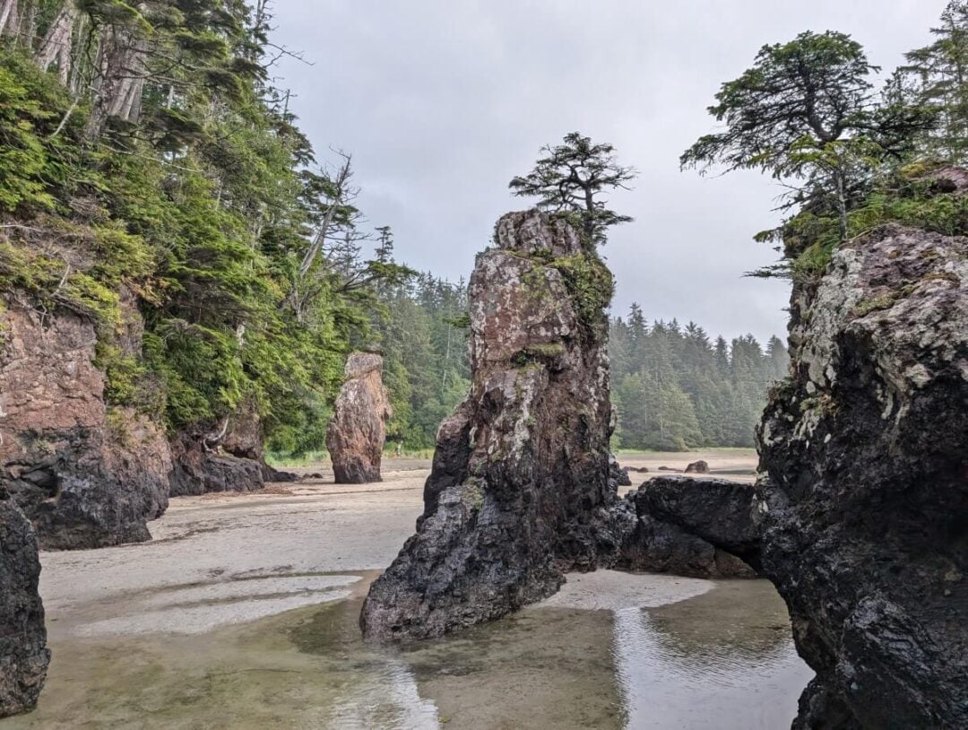 San Josef Bay, Vancouver Island: Hiking and Camping Guide | Off Track ...