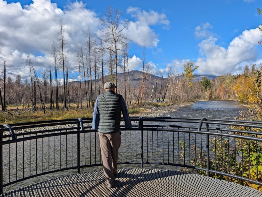 Where to See the Salmon Run in British Columbia: Complete Guide | Off ...