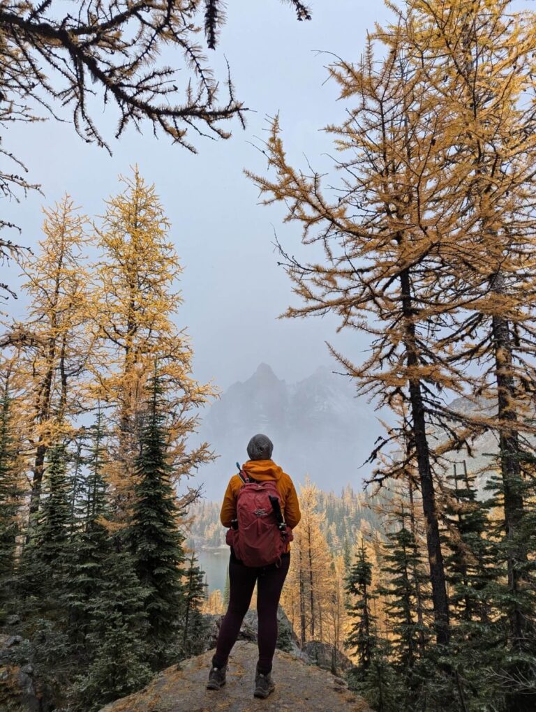 Lake O'Hara Alpine Circuit: 2026 Hiking Guide | Off Track Travel