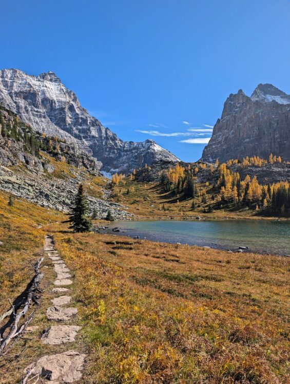 Lake O'Hara Alpine Circuit: 2026 Hiking Guide | Off Track Travel