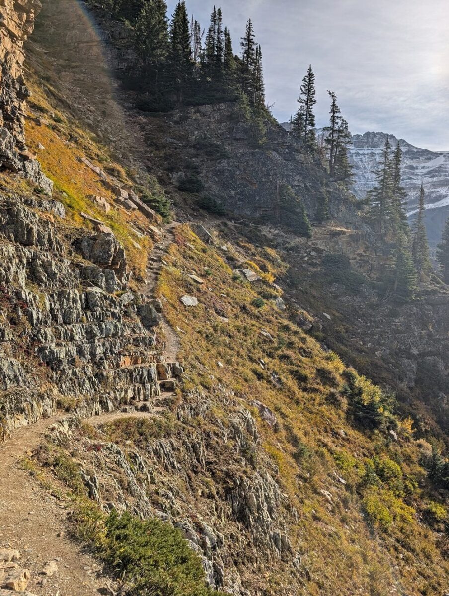 Lake O'Hara Alpine Circuit: 2026 Hiking Guide | Off Track Travel