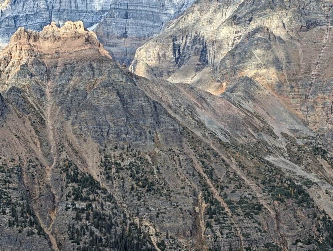 Lake O'Hara Alpine Circuit: 2026 Hiking Guide | Off Track Travel