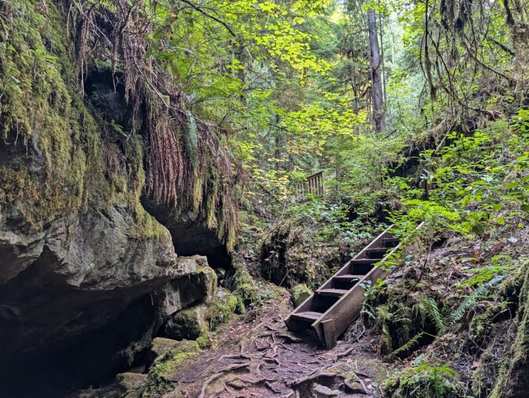 Little Huson Caves Guide, North Vancouver Island | Off Track Travel