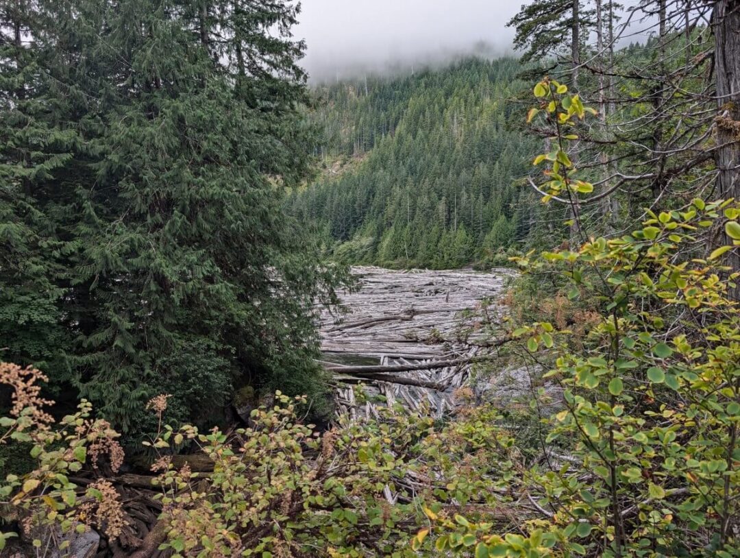 Little Huson Caves Guide, North Vancouver Island | Off Track Travel