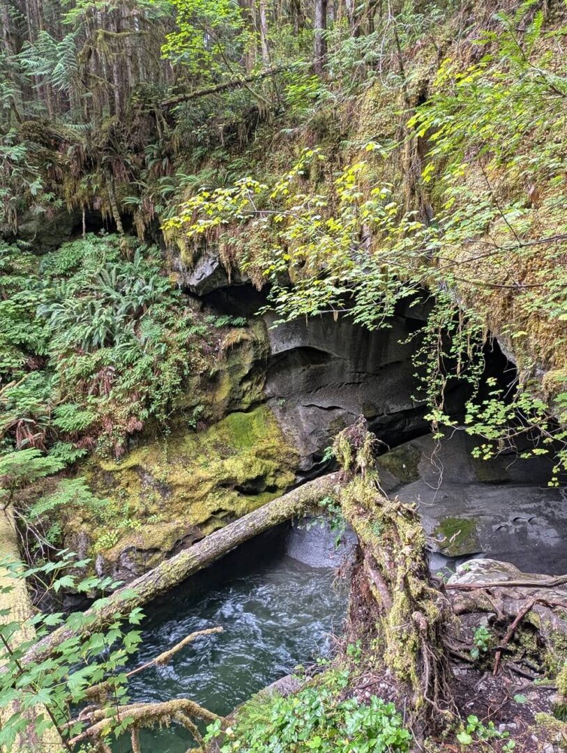 Little Huson Caves Guide, North Vancouver Island | Off Track Travel