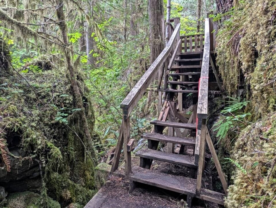 Little Huson Caves Guide, North Vancouver Island | Off Track Travel