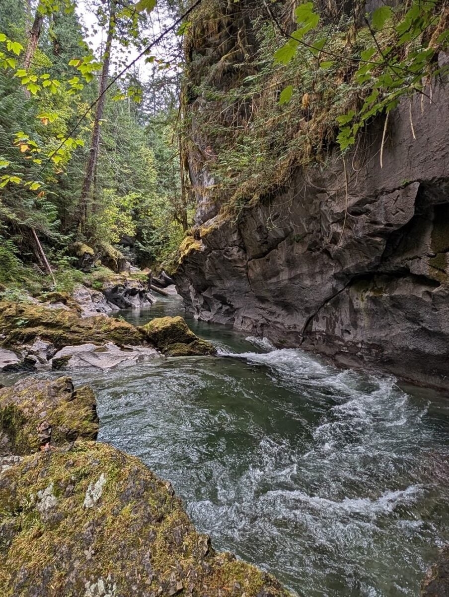 Little Huson Caves Guide, North Vancouver Island | Off Track Travel