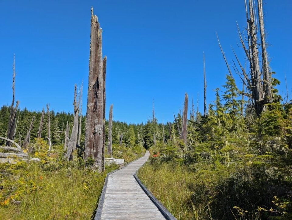 Alert Bay (‘Yalis), British Columbia: Best Things to Do and See | Off ...