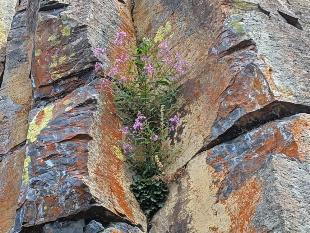 Aberdeen Columns Hike near Vernon, British Columbia | Off Track Travel