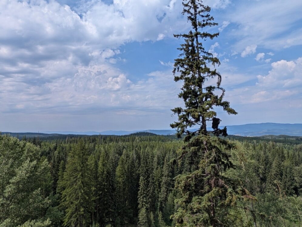 Aberdeen Columns Hike near Vernon, British Columbia | Off Track Travel