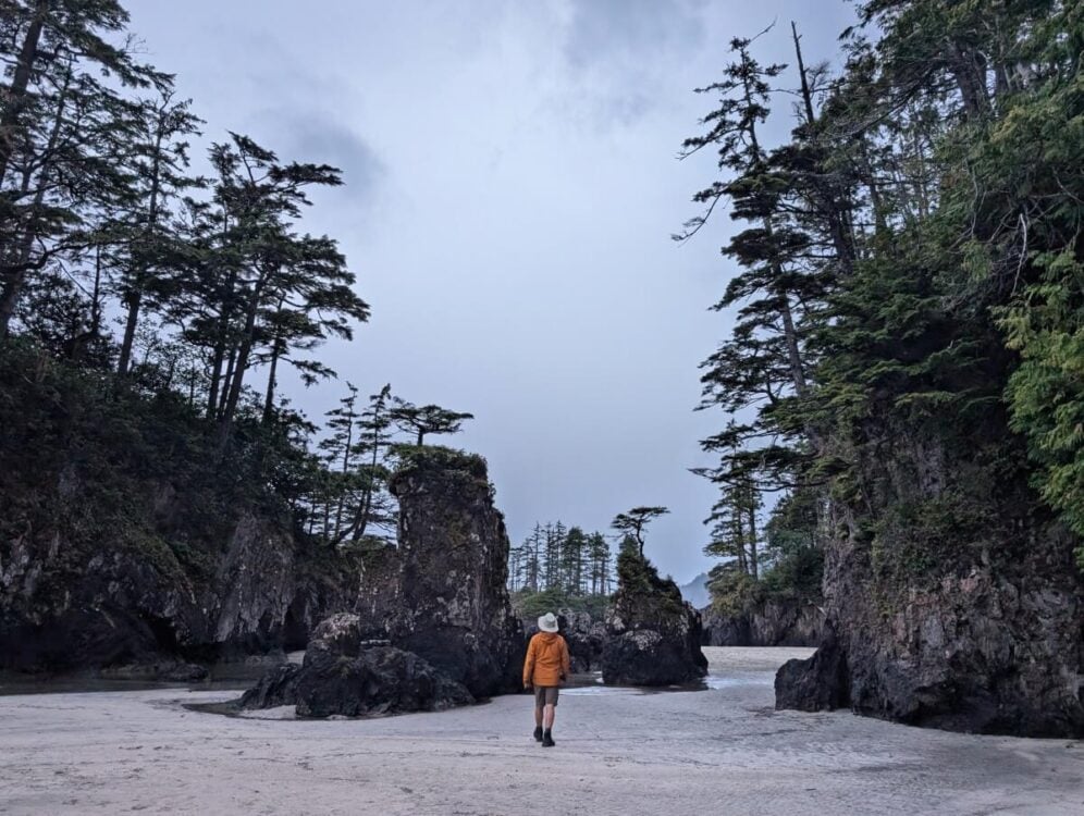 San Josef Bay, Vancouver Island: Hiking and Camping Guide | Off Track ...