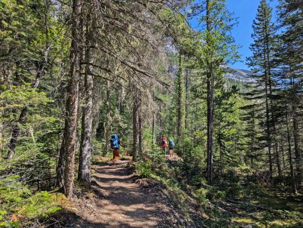 Berg Lake Trail: Complete 2026 Hiking Guide [New Trail Details + Map ...