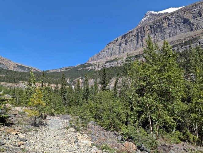 Berg Lake Trail: Complete 2026 Hiking Guide [New Trail Details + Map ...