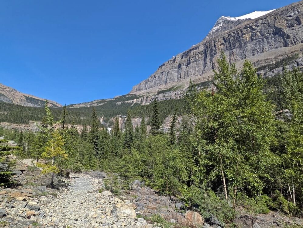 Berg Lake Trail: Complete 2026 Hiking Guide [New Trail Details + Map ...