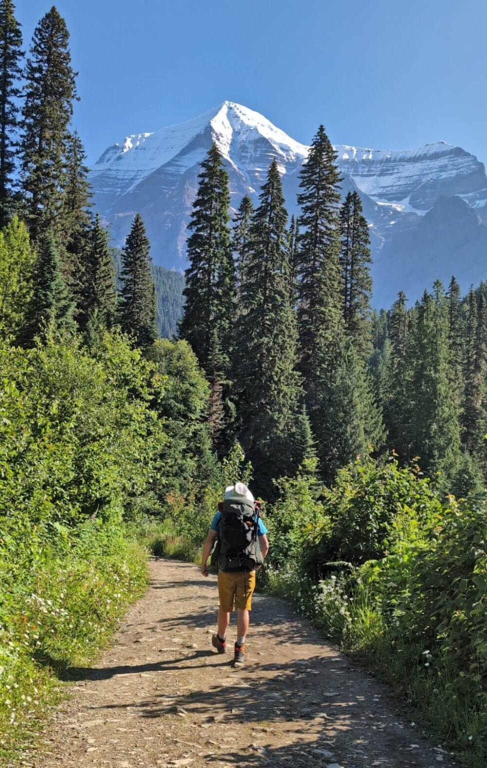 Berg Lake Trail: Complete 2026 Hiking Guide [New Trail Details + Map ...