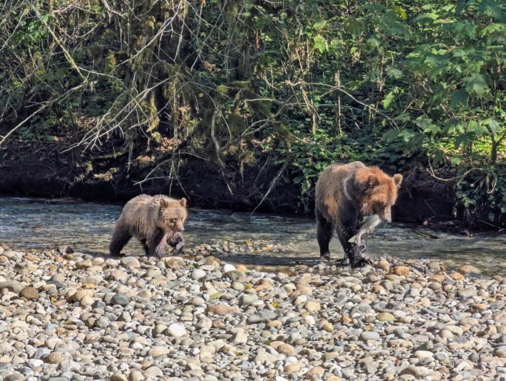 BC in Fall: Our Top 10 Travel Destinations | Off Track Travel