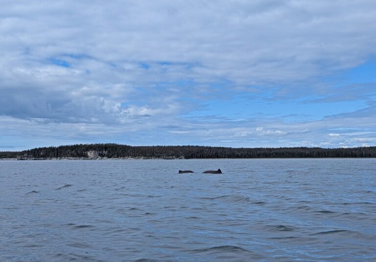 Discover the Mingan Archipelago, Québec: National Park Travel Guide ...