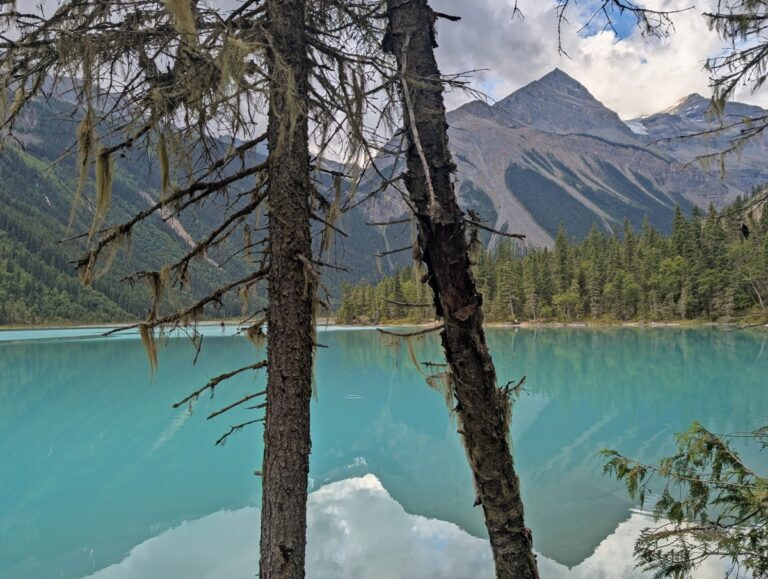 Kinney Lake, Mount Robson Provincial Park: Complete Hiking Guide | Off ...