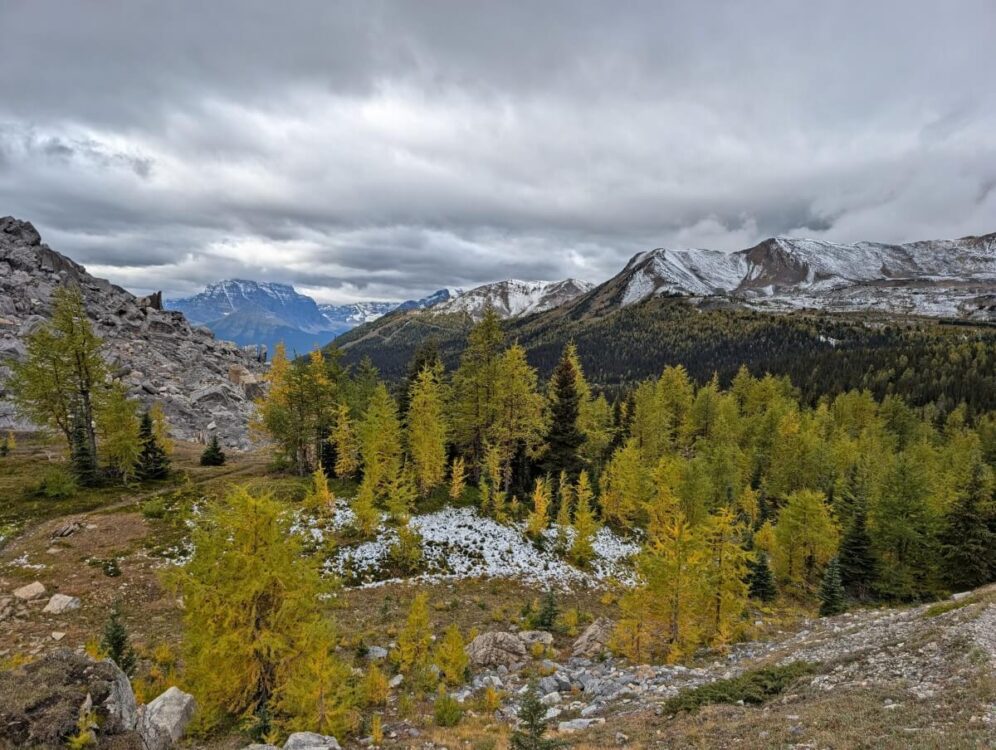 Baker Lake and the Skoki Loop Hiking Guide, Banff National Park | Off ...