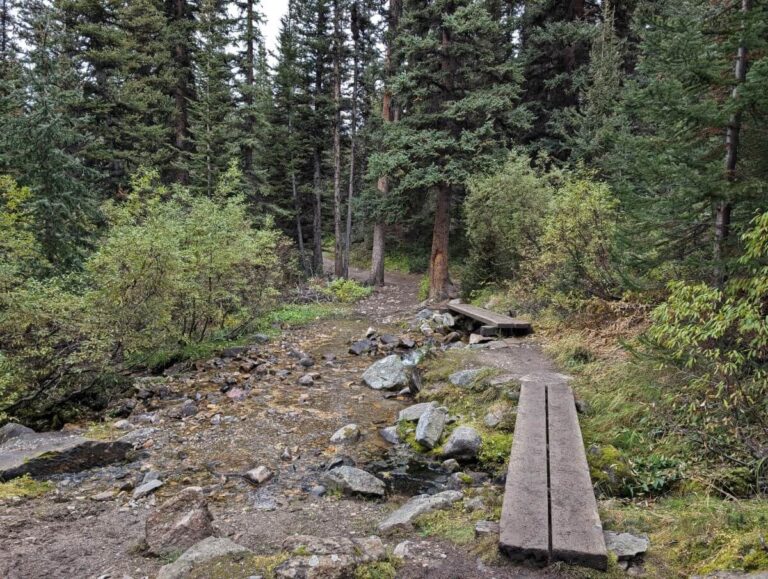 Baker Lake and the Skoki Loop Hiking Guide, Banff National Park | Off ...
