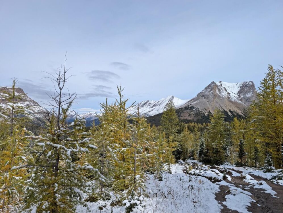 Baker Lake and the Skoki Loop Hiking Guide, Banff National Park | Off ...